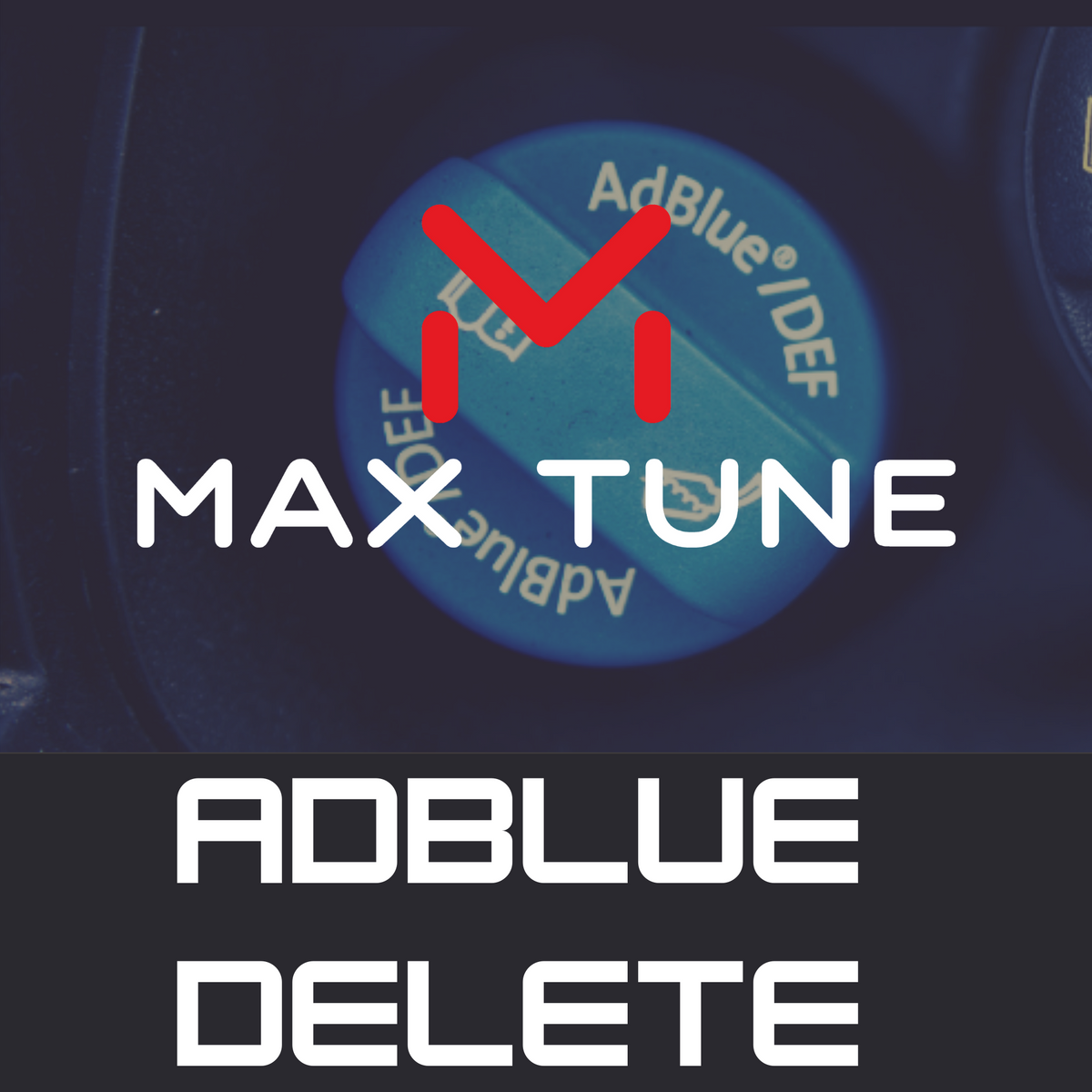 MAX TUNE ADBLUE Delete Software – Max Tune